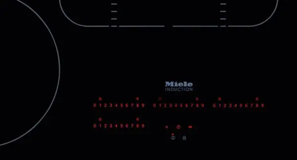 The Best Induction Cooktops (By Features, Price, Power, and Reviews)