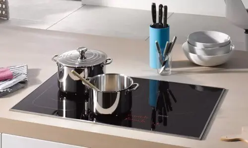 The Best Induction Cooktops (By Features, Price, Power, and Reviews)