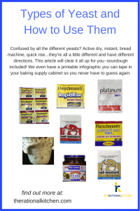 Types of Yeast and How to Use Them (Infographic)