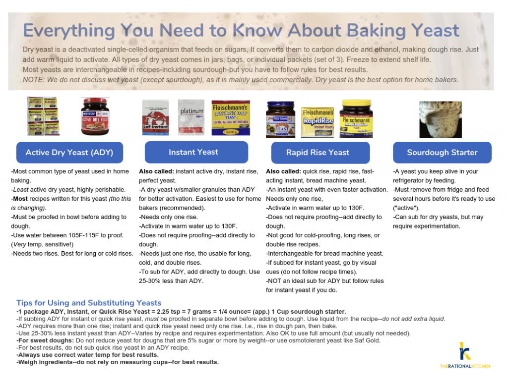 Types of Yeast and How to Use Them (Infographic)