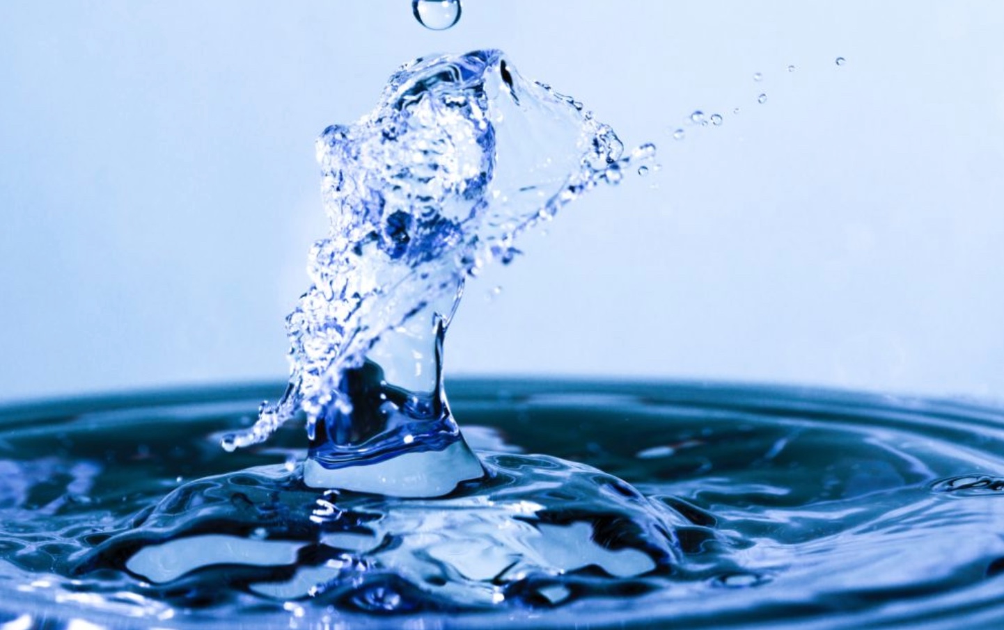 The Best Water Filters to Buy (And Why You Need One)