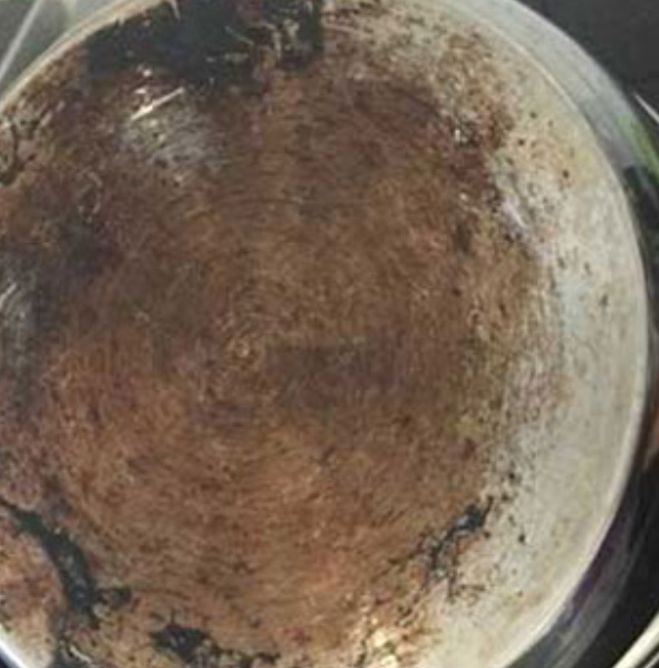 Best Stainless Steel Cookware Sets: A Buying Guide